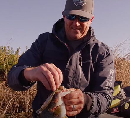 How to Release a Fish