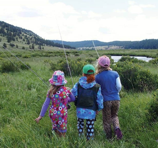 The Mayfly Project